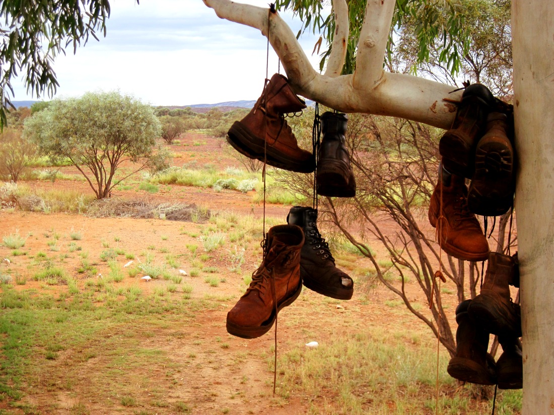 What Brings You To Paraburdoo? | Too Mutch For Words